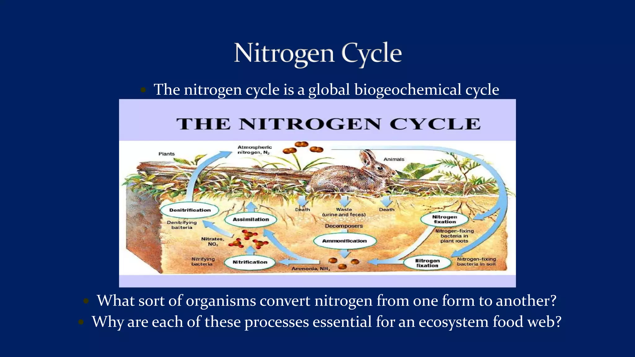Energy Flow and Nutrient Cycle - Environment Science Community and ...