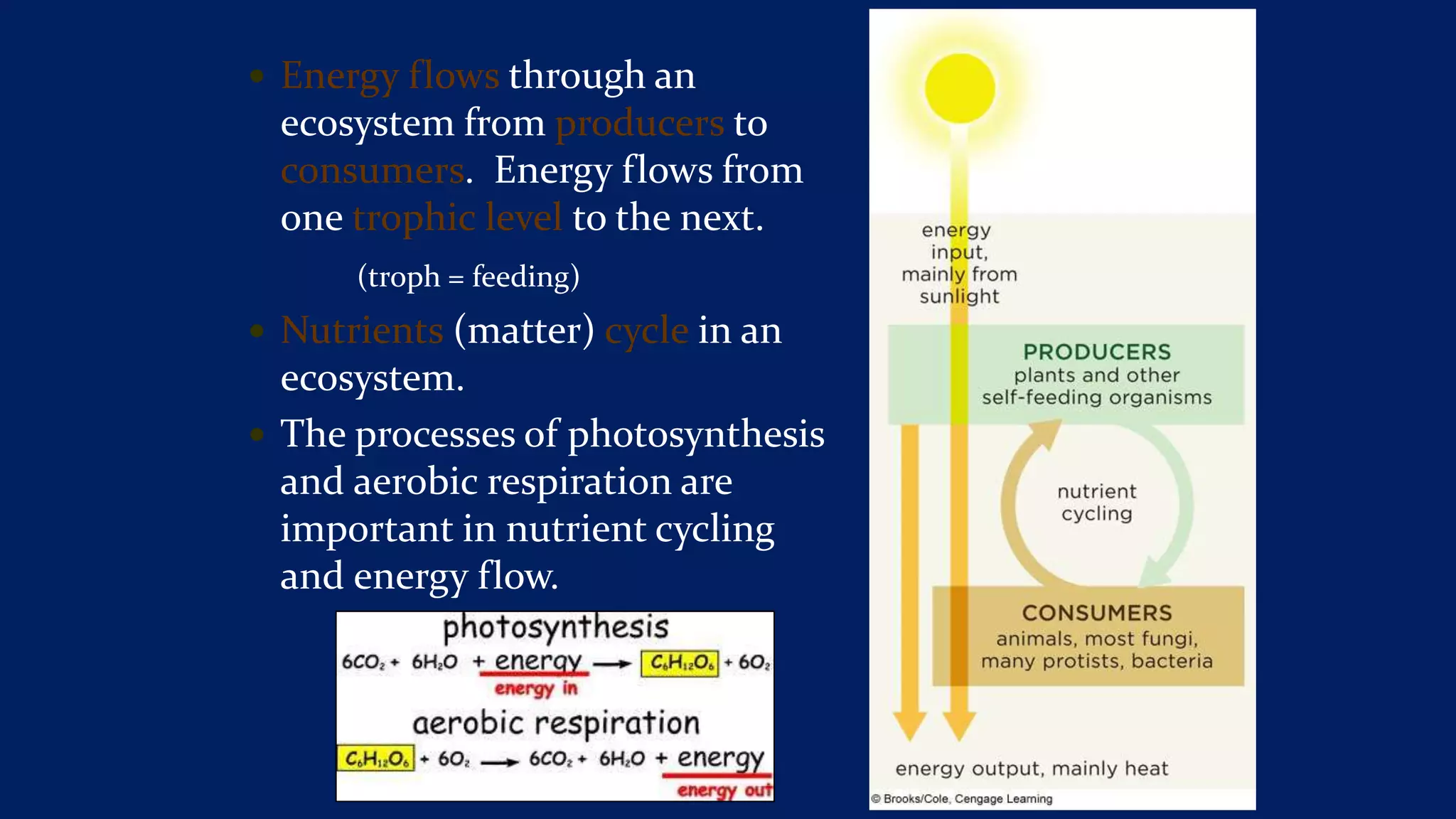 Energy Flow and Nutrient Cycle - Environment Science Community and ...