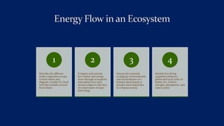 Energy Flow and Nutrient Cycle - Environment Science Community and ...