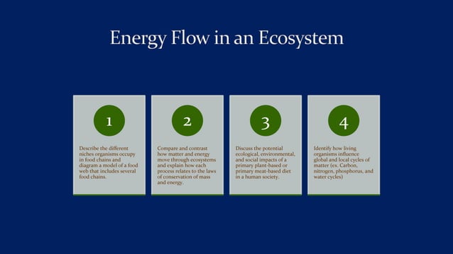 Energy Flow and Nutrient Cycle - Environment Science Community and ...