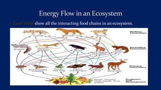 Energy Flow and Nutrient Cycle - Environment Science Community and ...
