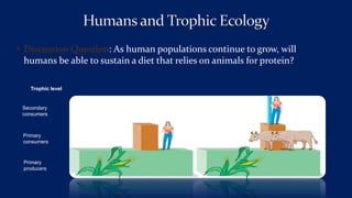 Energy Flow and Nutrient Cycle - Environment Science Community and ...