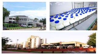 Anand pattern- simplified by Manvik Joshi | PPTX | Agriculture | Industries