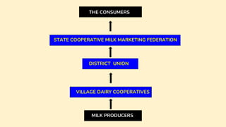 Anand pattern- simplified by Manvik Joshi | PPTX | Agriculture | Industries