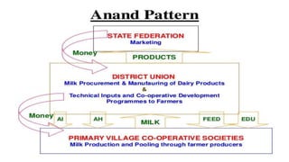 Anand pattern- simplified by Manvik Joshi | PPTX | Agriculture | Industries