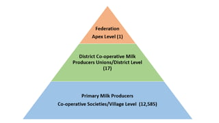 Anand pattern- simplified by Manvik Joshi | PPTX | Agriculture | Industries