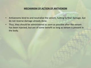 SNAKE AND SCORPION ENVENOMATION | PPTX