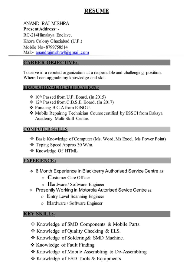 Anand Raj Mishra Resume Circum-Vitae | DOCX