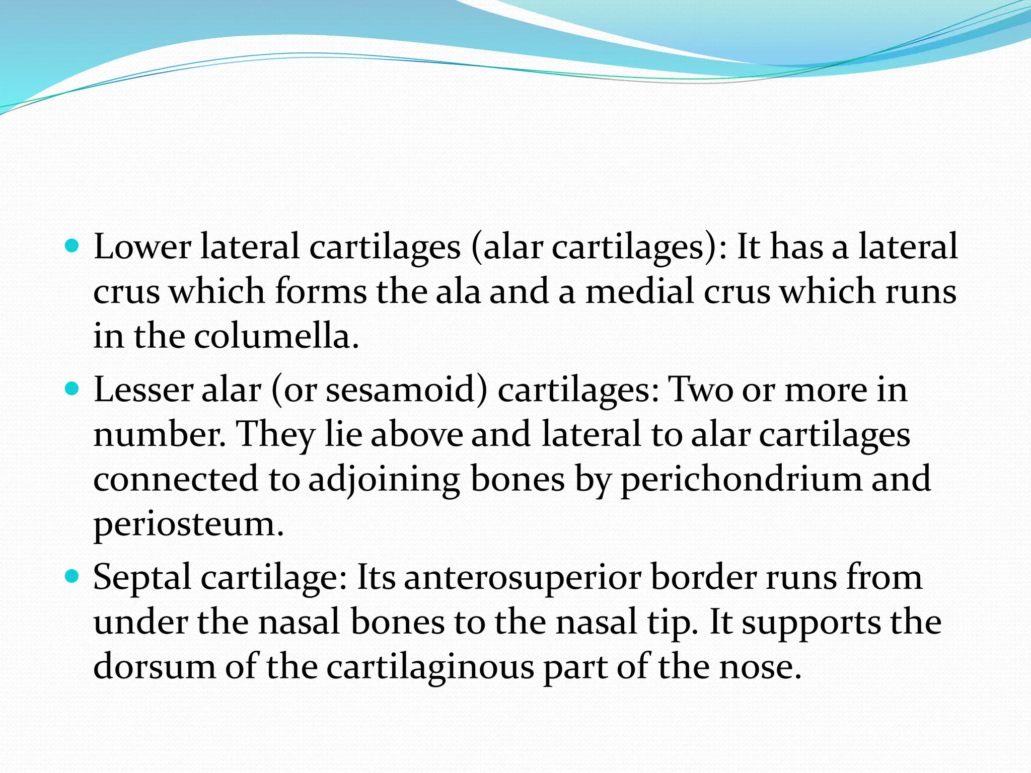 ANATOMY OF NOSE AND PNS.pptx