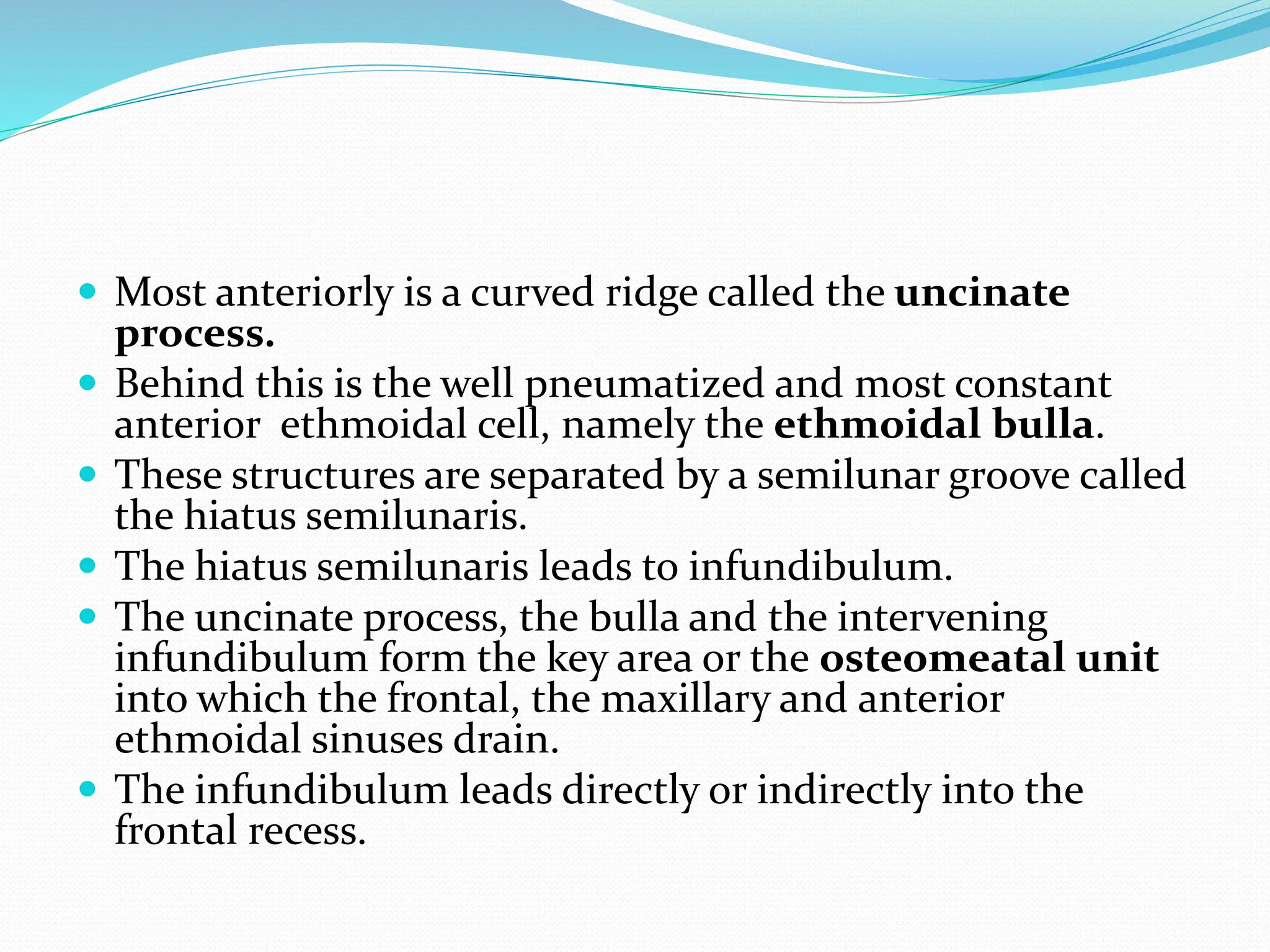 ANATOMY OF NOSE AND PNS.pptx