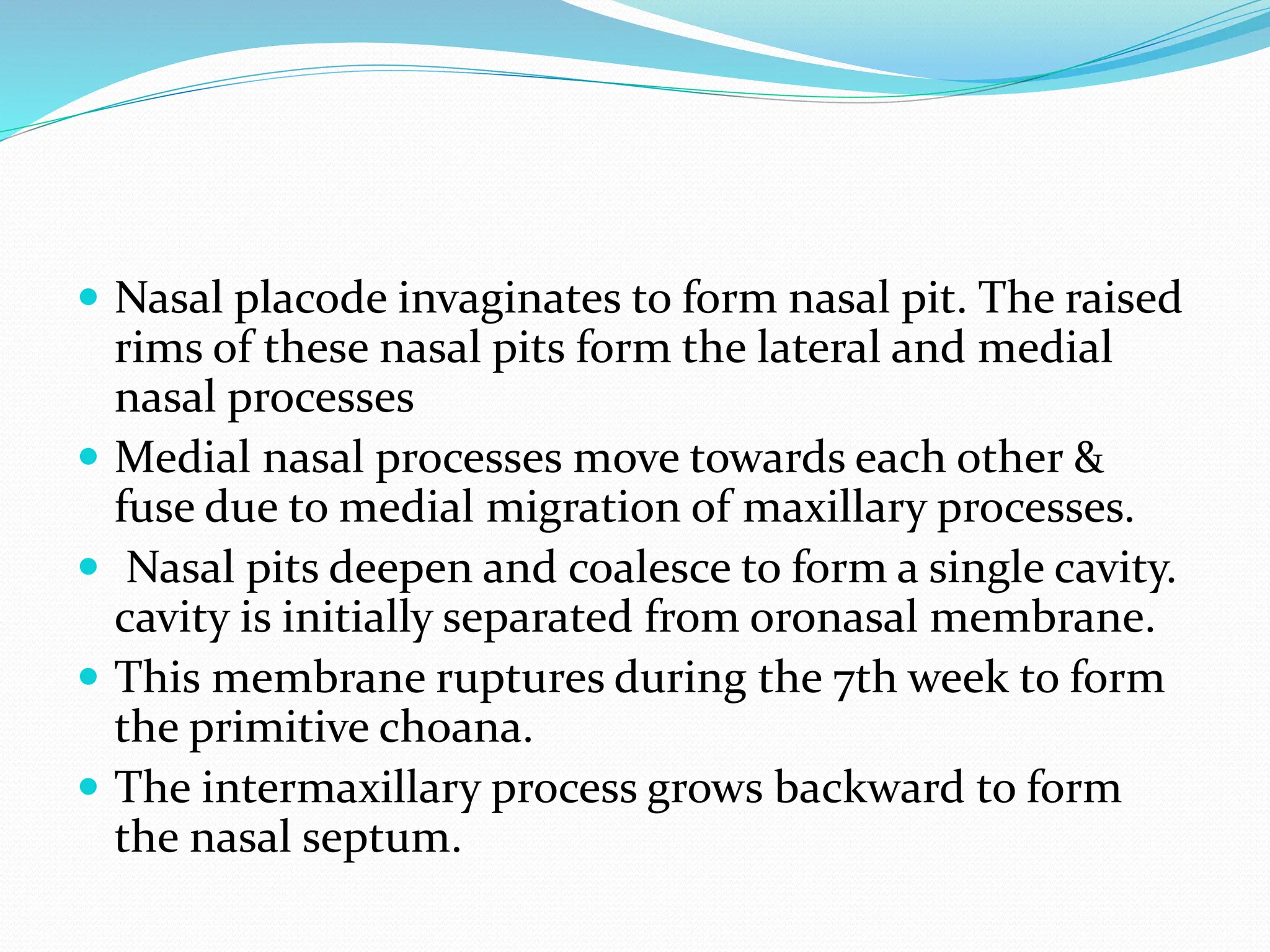 ANATOMY OF NOSE AND PNS.pptx