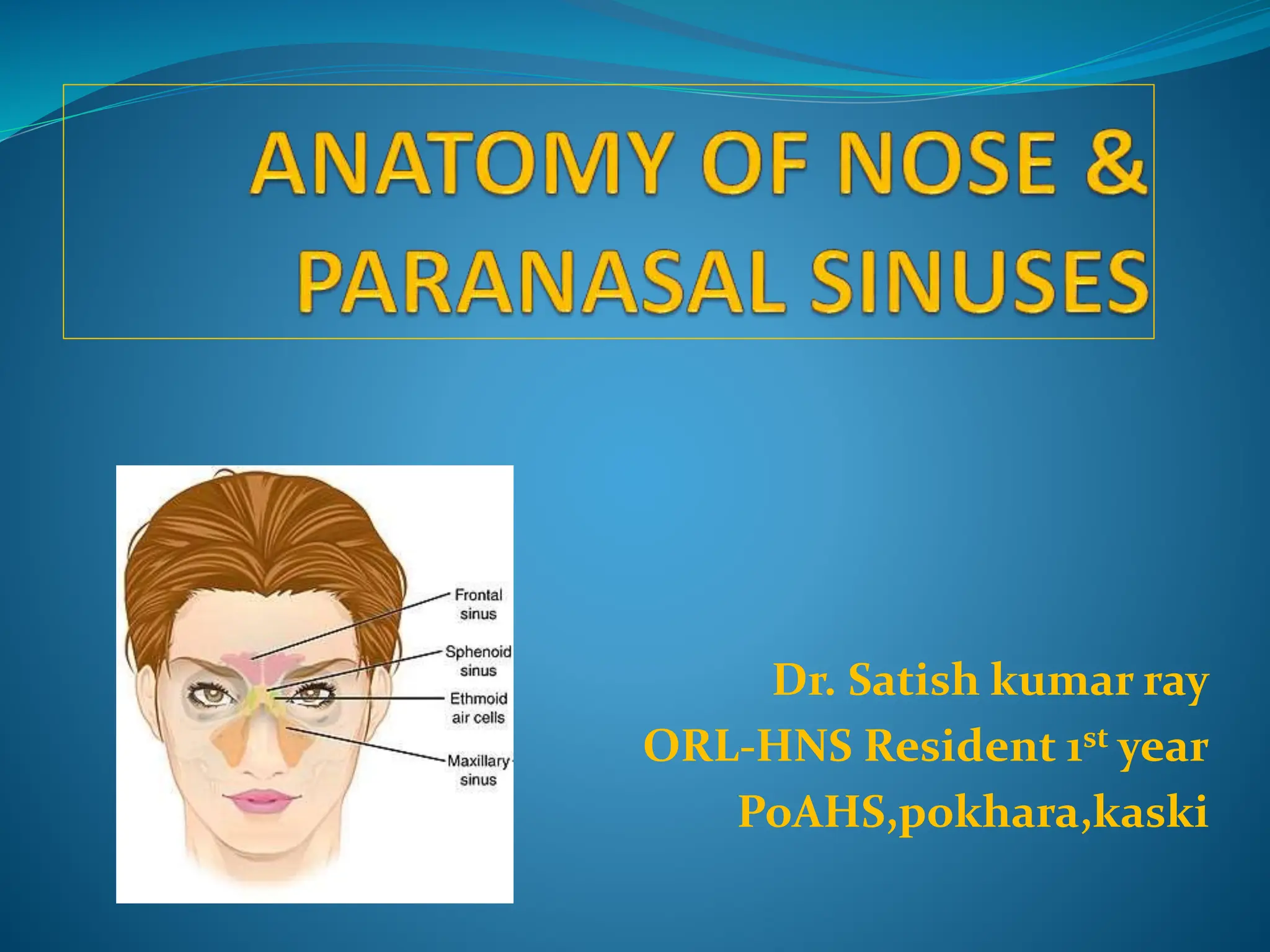 ANATOMY OF NOSE AND PNS.pptx