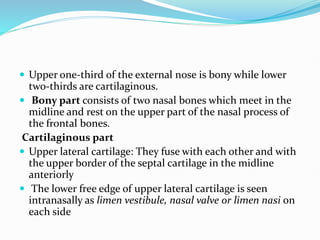 ANATOMY OF NOSE AND PNS.pptx