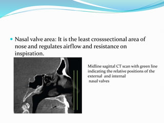 ANATOMY OF NOSE AND PNS.pptx