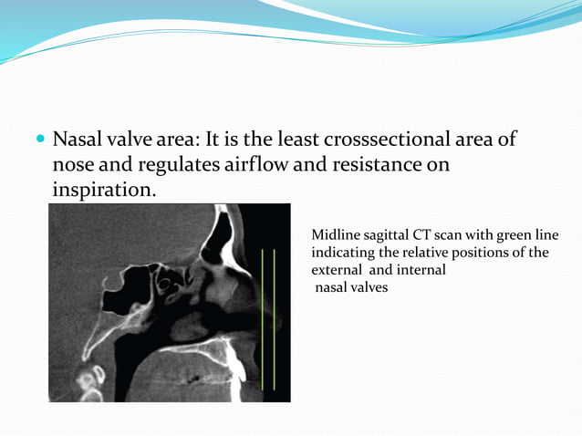 ANATOMY OF NOSE AND PNS.pptx