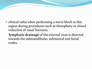 ANATOMY OF NOSE AND PNS.pptx