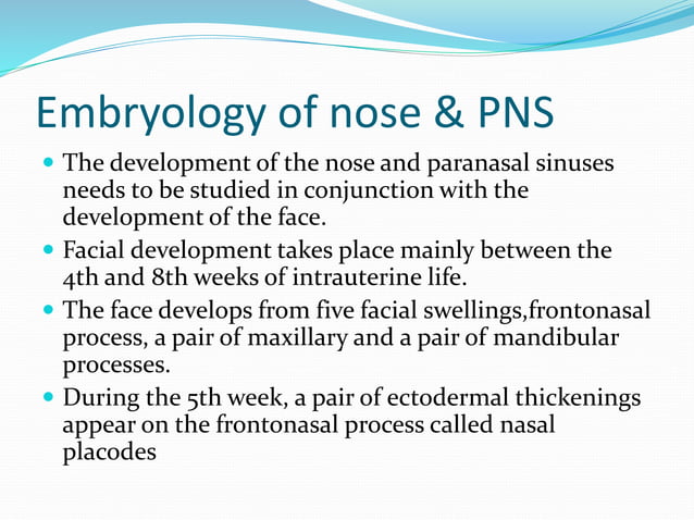 ANATOMY OF NOSE AND PNS.pptx