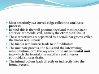 ANATOMY OF NOSE AND PNS.pptx