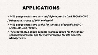 Ananthalakshmi [m13 bacteriophage].pptx