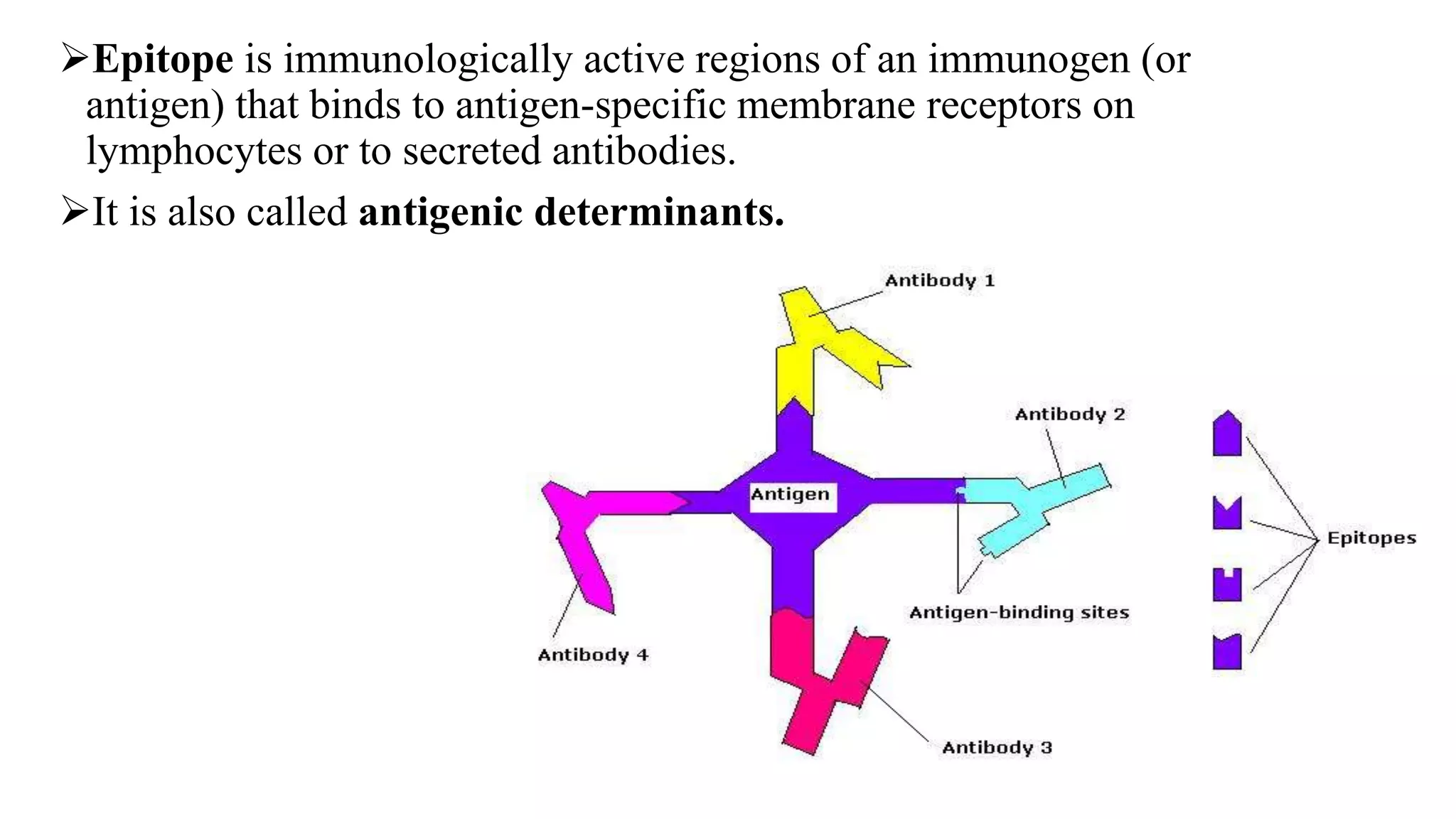 Introduction to antigen | PPTX