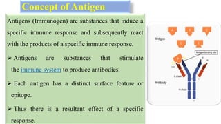 Introduction to antigen | PPTX