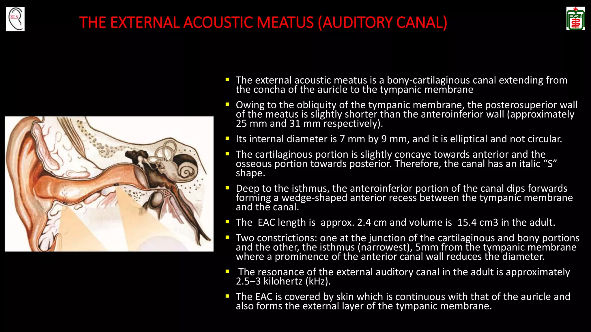 ANATOMY OF EXTERNAL AUDITORY CANAL | PPTX