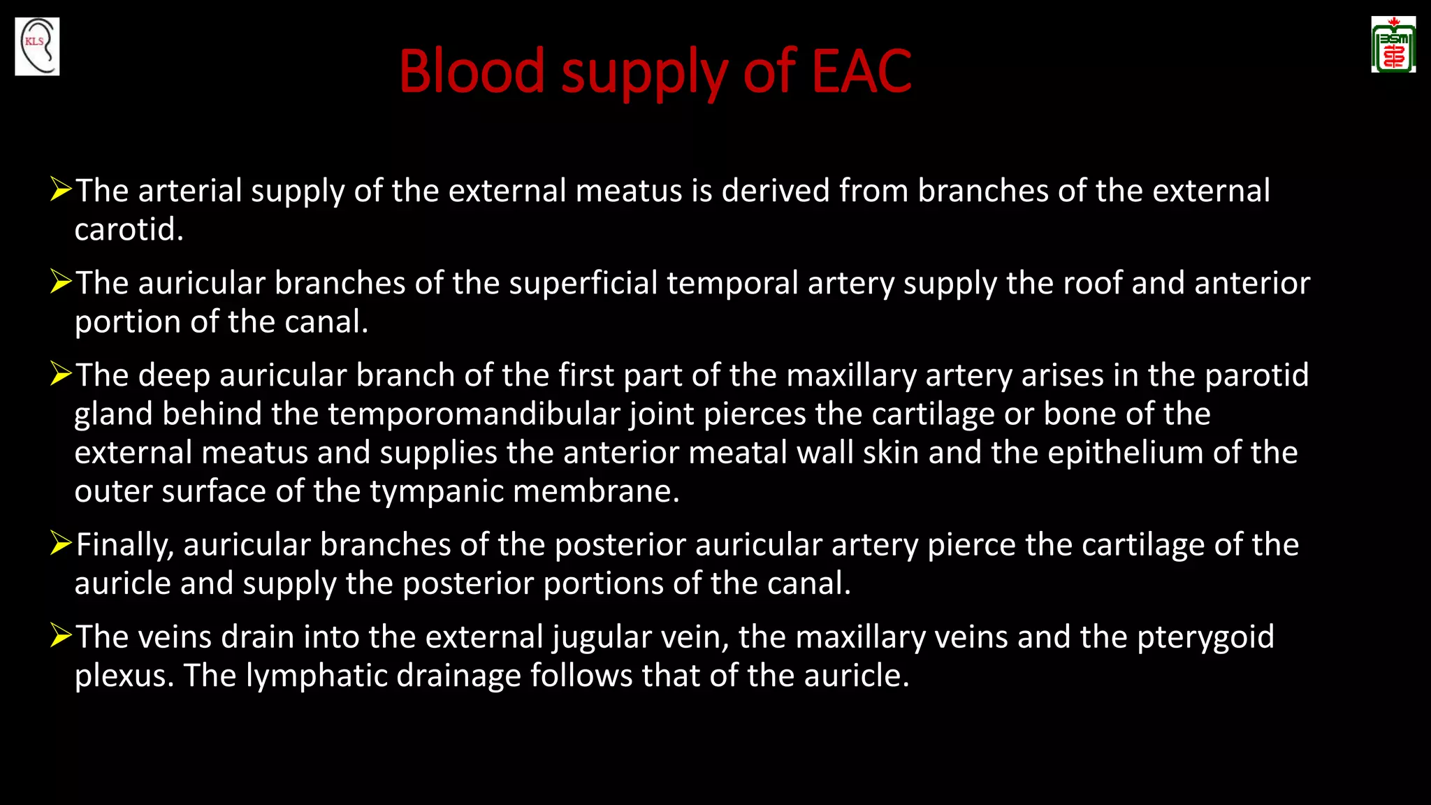 ANATOMY OF EXTERNAL AUDITORY CANAL | PPTX