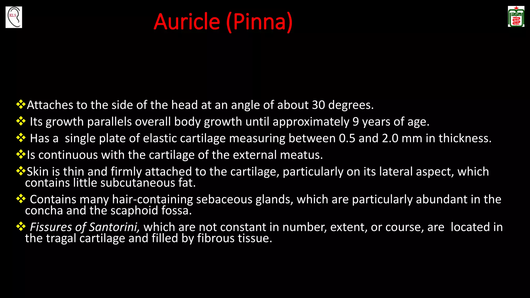 ANATOMY OF EXTERNAL AUDITORY CANAL | PPTX