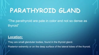 Anantomy of thyroid and para thyroid | PPT