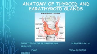 Anantomy of thyroid and para thyroid | PPTX