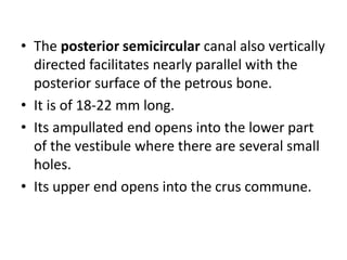 Anantomy of vestibular system | PPTX