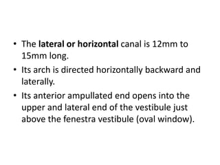 Anantomy of vestibular system | PPTX