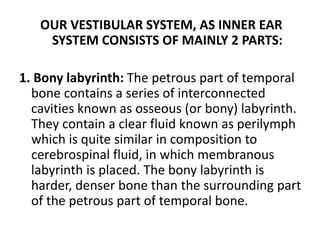 Anantomy of vestibular system | PPTX