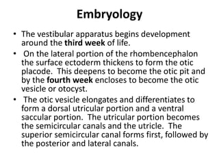 Anantomy of vestibular system | PPTX