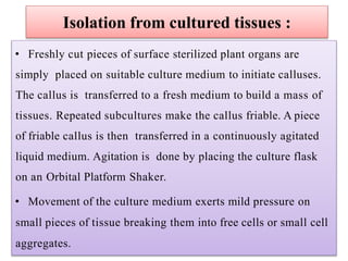 Suspension Culture and Single Cell Cultures, Culturing methods ...