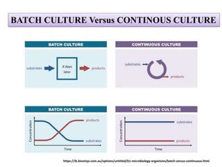 Suspension Culture and Single Cell Cultures, Culturing methods ...