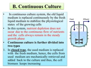 Suspension Culture and Single Cell Cultures, Culturing methods ...