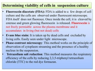 Suspension Culture and Single Cell Cultures, Culturing methods ...