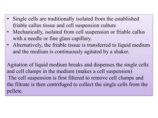 Suspension Culture and Single Cell Cultures, Culturing methods ...