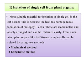 Suspension Culture and Single Cell Cultures, Culturing methods ...