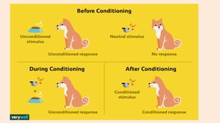 Principles and Applications of Classical and operant conditioningppt.pptx