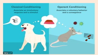 Principles and Applications of Classical and operant conditioningppt.pptx
