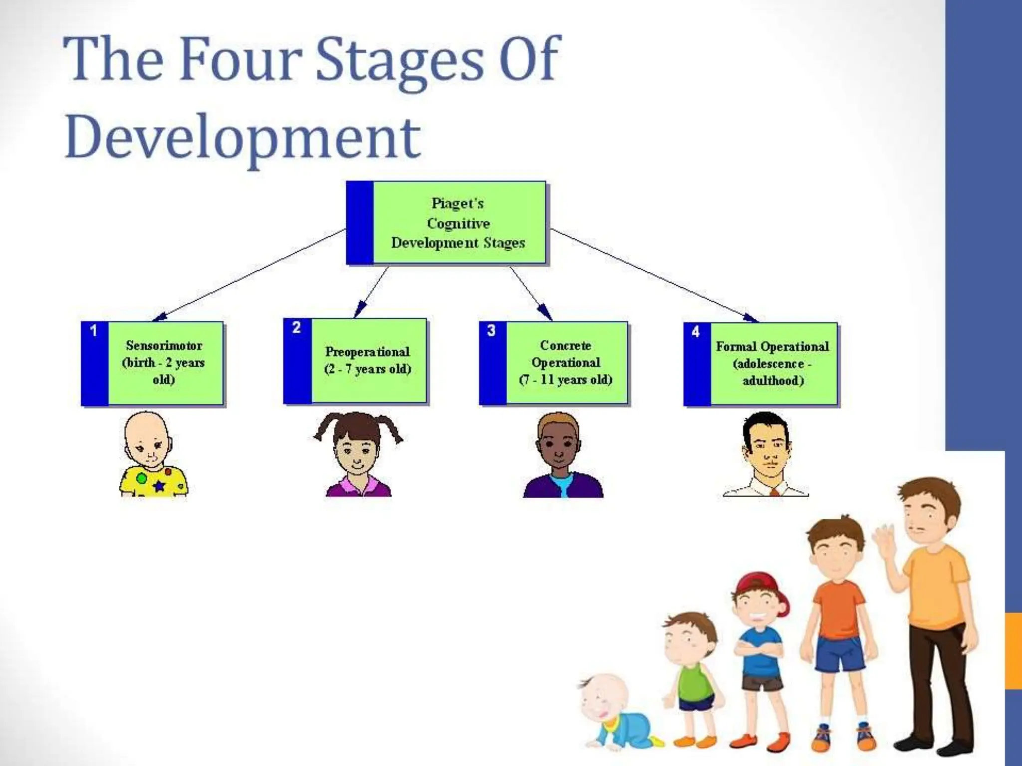 Piagets's theory of Cognitive development.pptx | Parenting Babies and ...