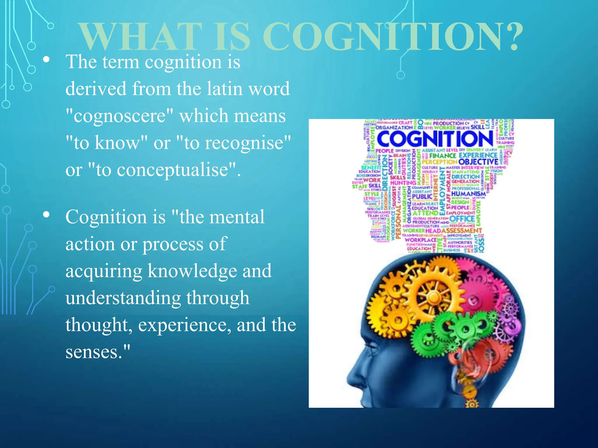 Piagets's theory of Cognitive development.pptx | Parenting Babies and ...