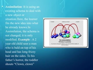 Piagets's theory of Cognitive development.pptx | Parenting Babies and ...