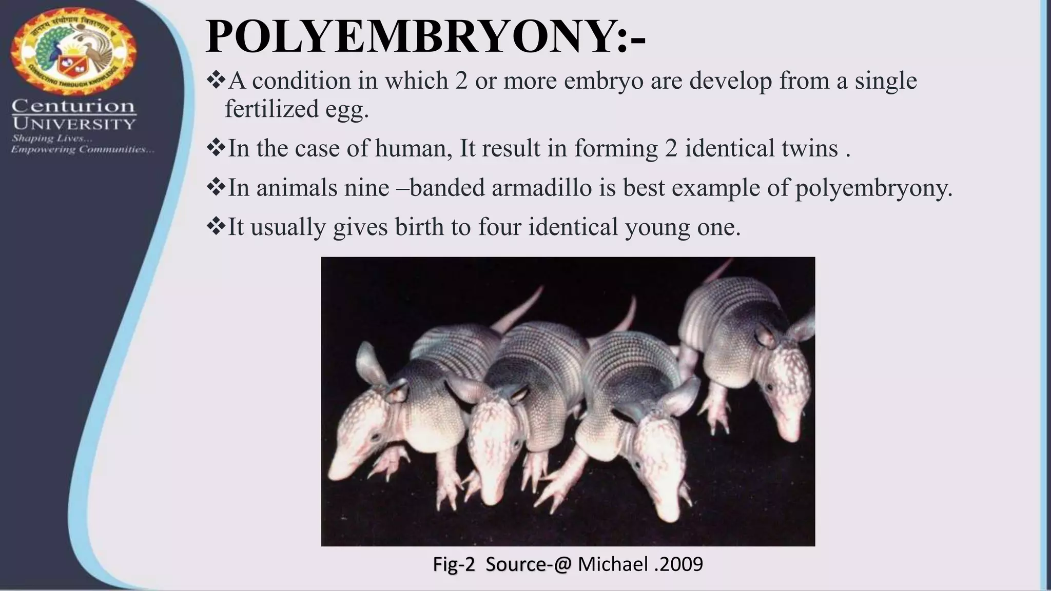 Ananya Priyadarshin 220705180031.pptx