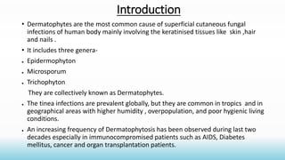 THESIS SYNOPSIS dermat.pptx