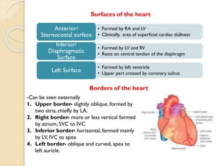 Anatomy Of Heart by Dr Rahul Sharma | PDF | Heart and Cardiovascular ...
