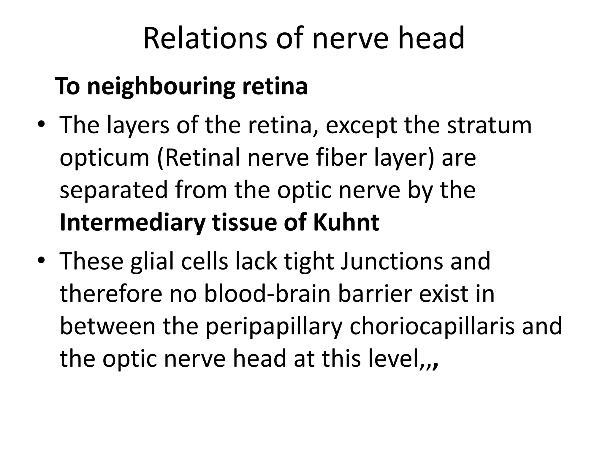Anatomy of optic nerve | PPTX