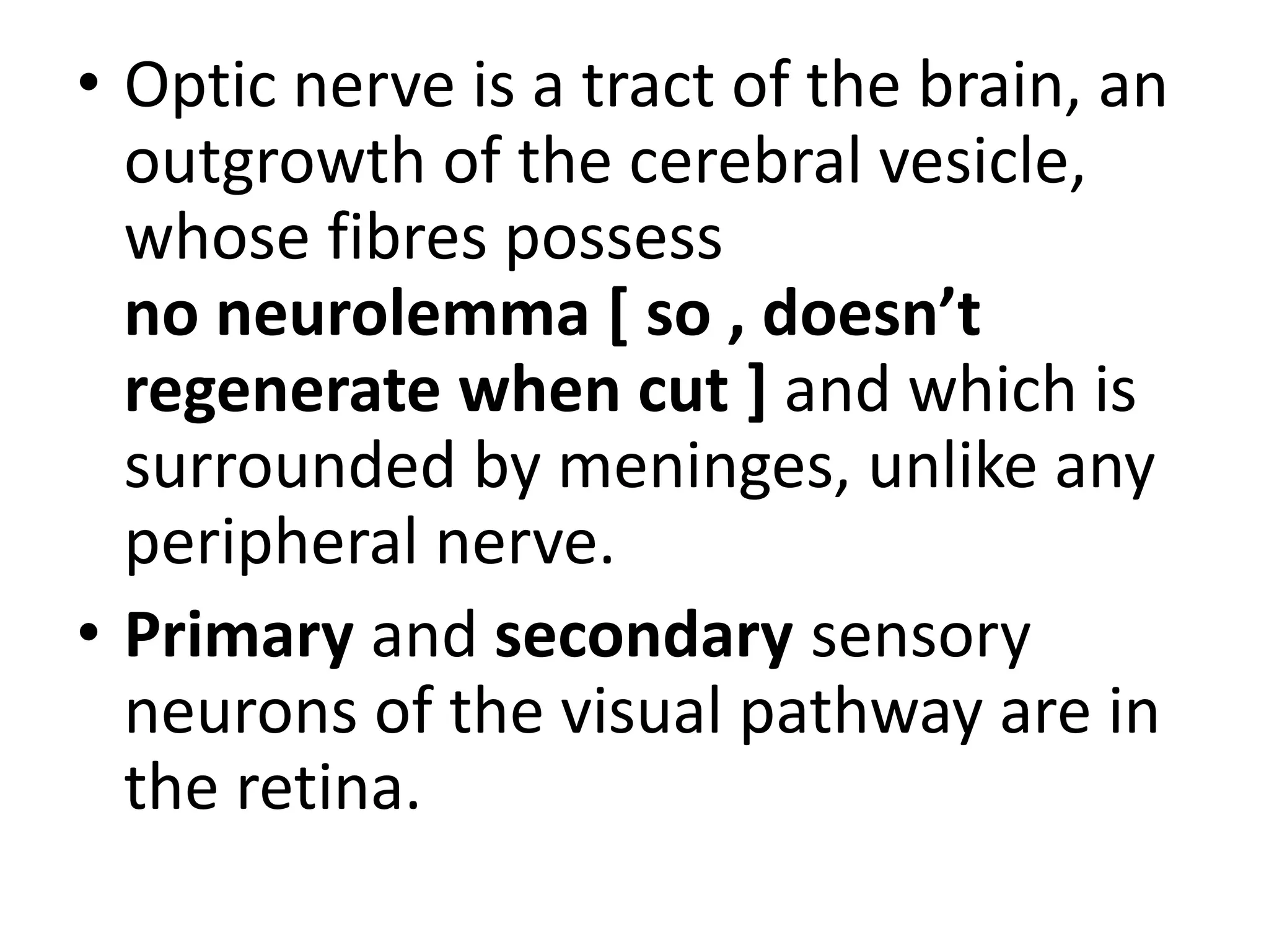 Anatomy of optic nerve | PPTX